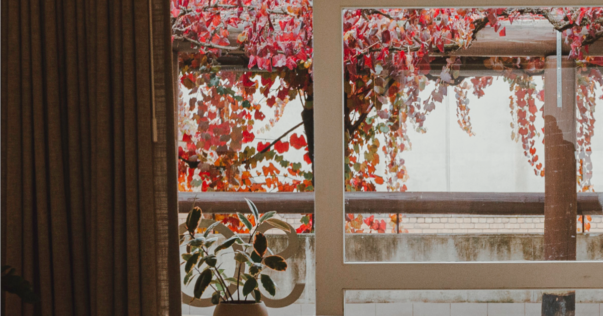 Sofiaa Interior Design, North Adelaide | Viselli